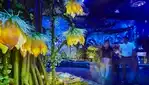 BFLY Centre d'amusement - Brossard